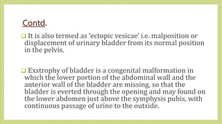 Exstrophy of bladder | PPTX