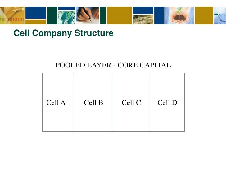 How Using Captive Structures Can Help You Manage Risk, Reduce Insuran…