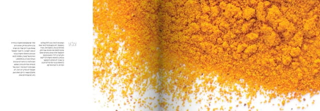 extal branding process | PPT