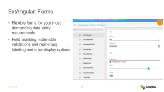 Ext angular Launch webinar | PPTX