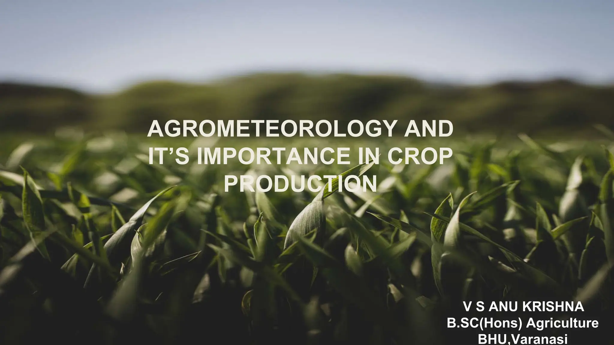 Agrometeorology And It's Importance In Crop Production | PPTX