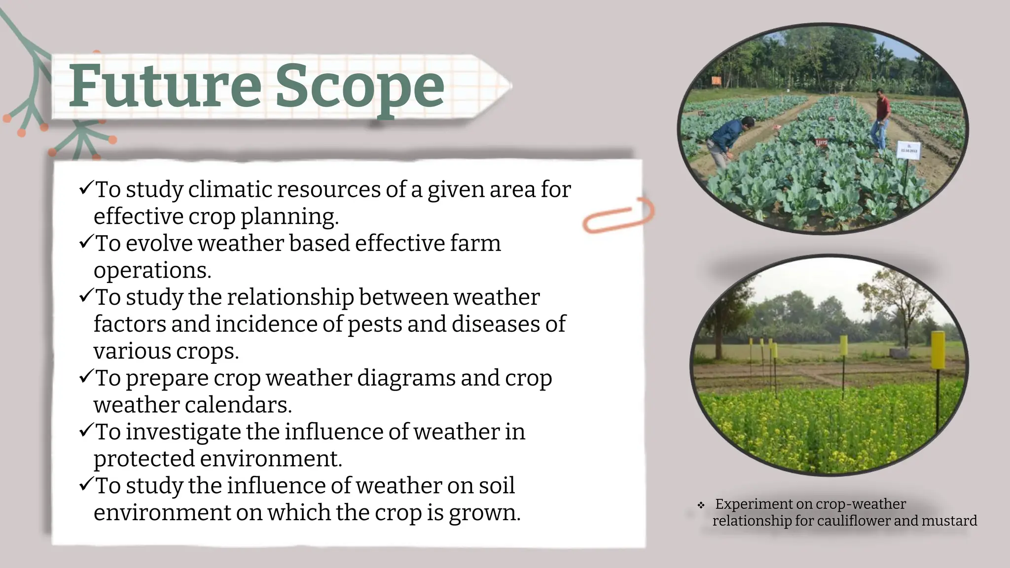 Agrometeorology And It's Importance In Crop Production | PPTX