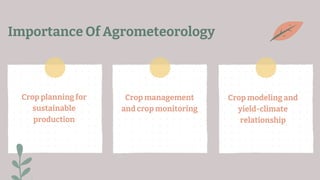 Agrometeorology And It's Importance In Crop Production | PPTX