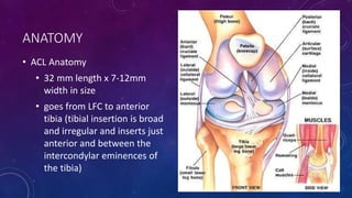 ACL INJURY | PPT