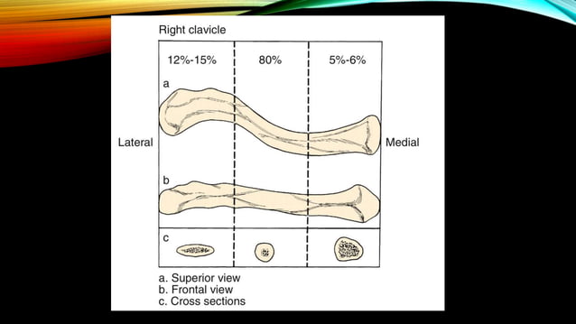 Ext conference ortho0000 | PPTX
