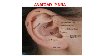 Diseases of External Ear | PPTX