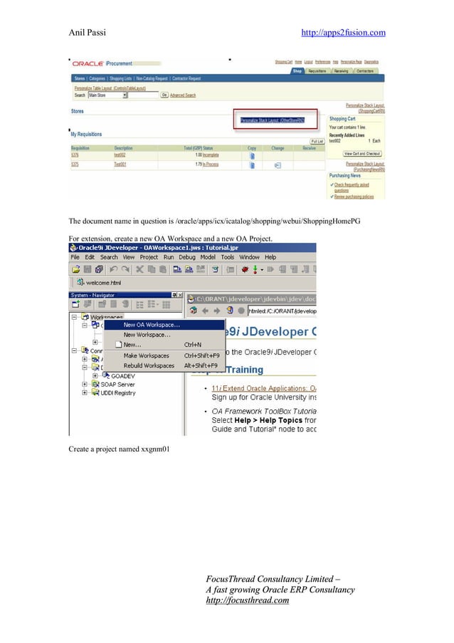 Extend oa-framework-add-new-field | PDF