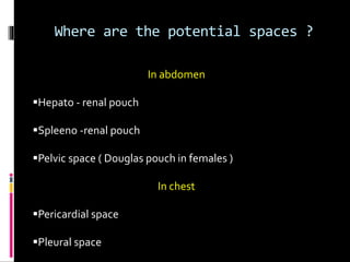 Extended focused abdominal assesment in trauma patients | PPTX