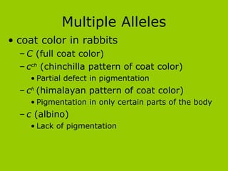 Extended inheritance patterns | PPT