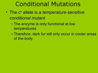 Extended inheritance patterns | PPT