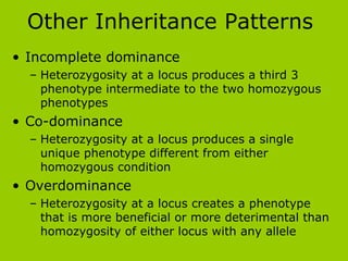 Extended inheritance patterns | PPT