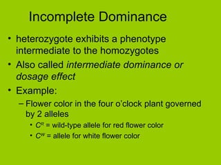 Extended inheritance patterns | PPT