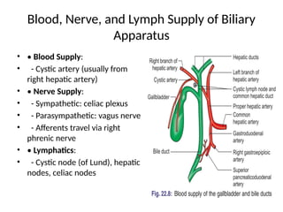Extended_Liver_and_Biliary_Anatomy_.pptx