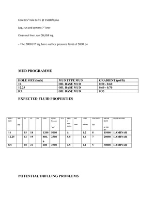 Extended Reach Well Drilling Program | DOC