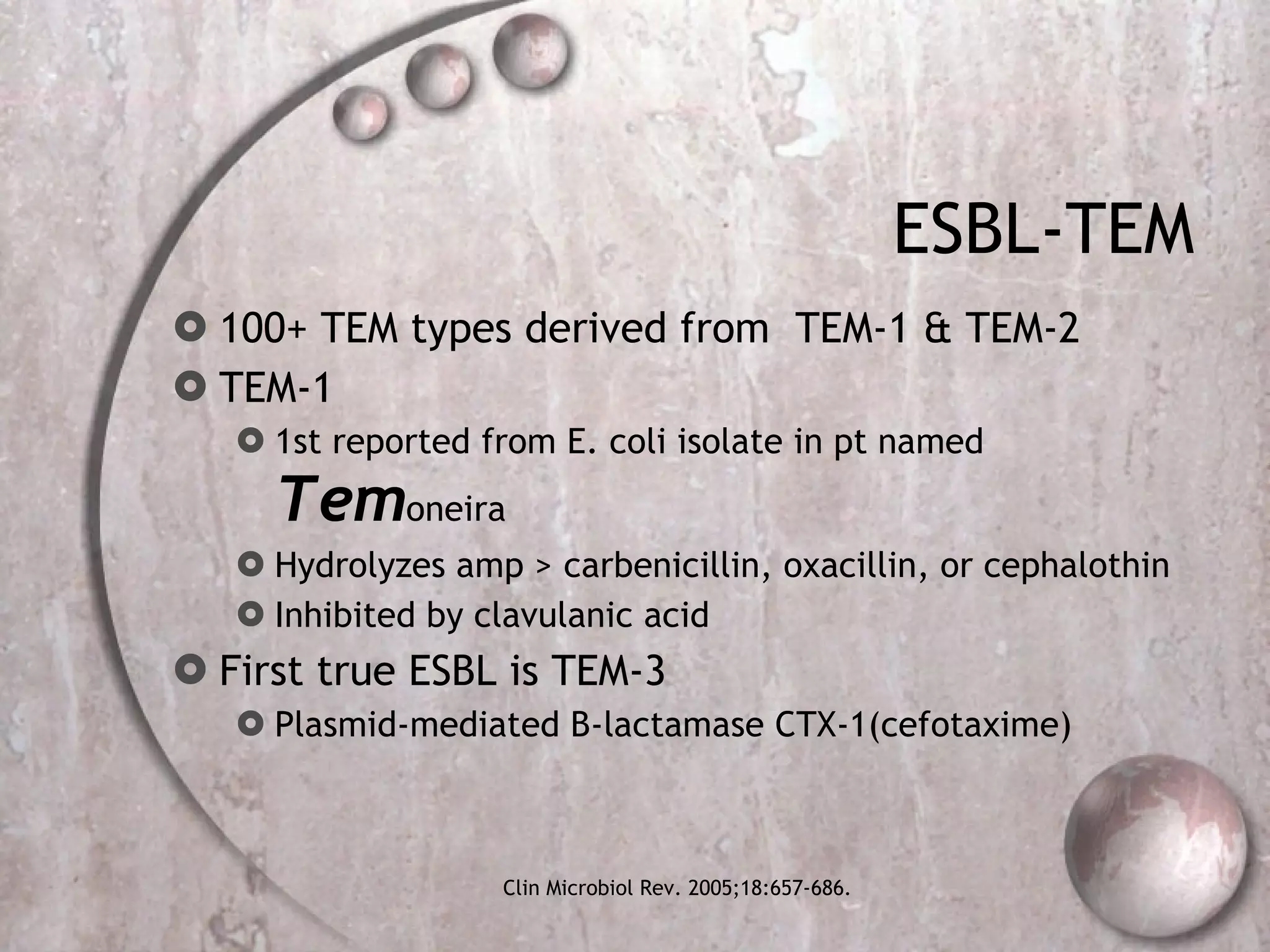 Extended Spectrum Beta Lactamases Esbl | PPT