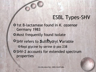 Extended Spectrum Beta Lactamases Esbl | PPT
