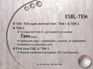 Extended Spectrum Beta Lactamases Esbl | PPT