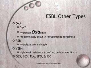 Extended Spectrum Beta Lactamases Esbl | PPT