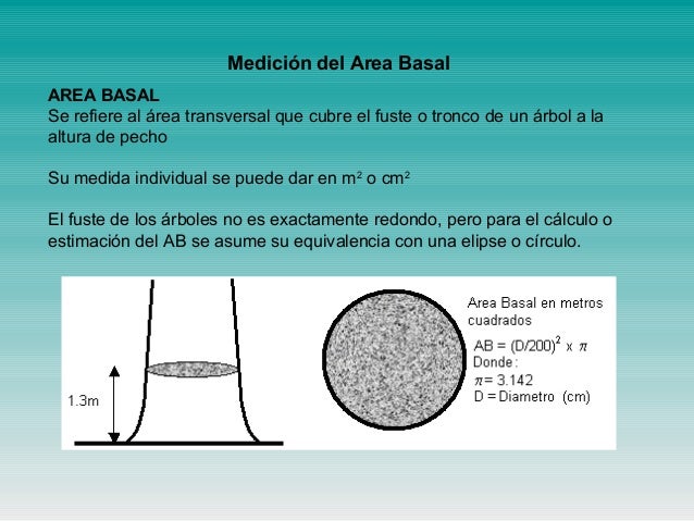 Avaluación forestal I. LUZ