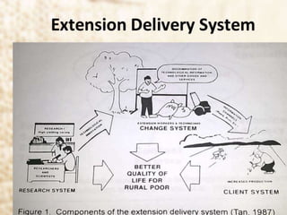 Extension delivery system By Mr Allah Dad Khan Visiting Professor The ...