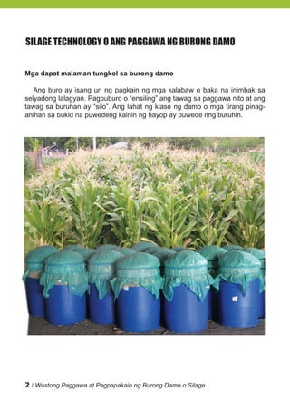 Extension No.2. Silage Production | PDF