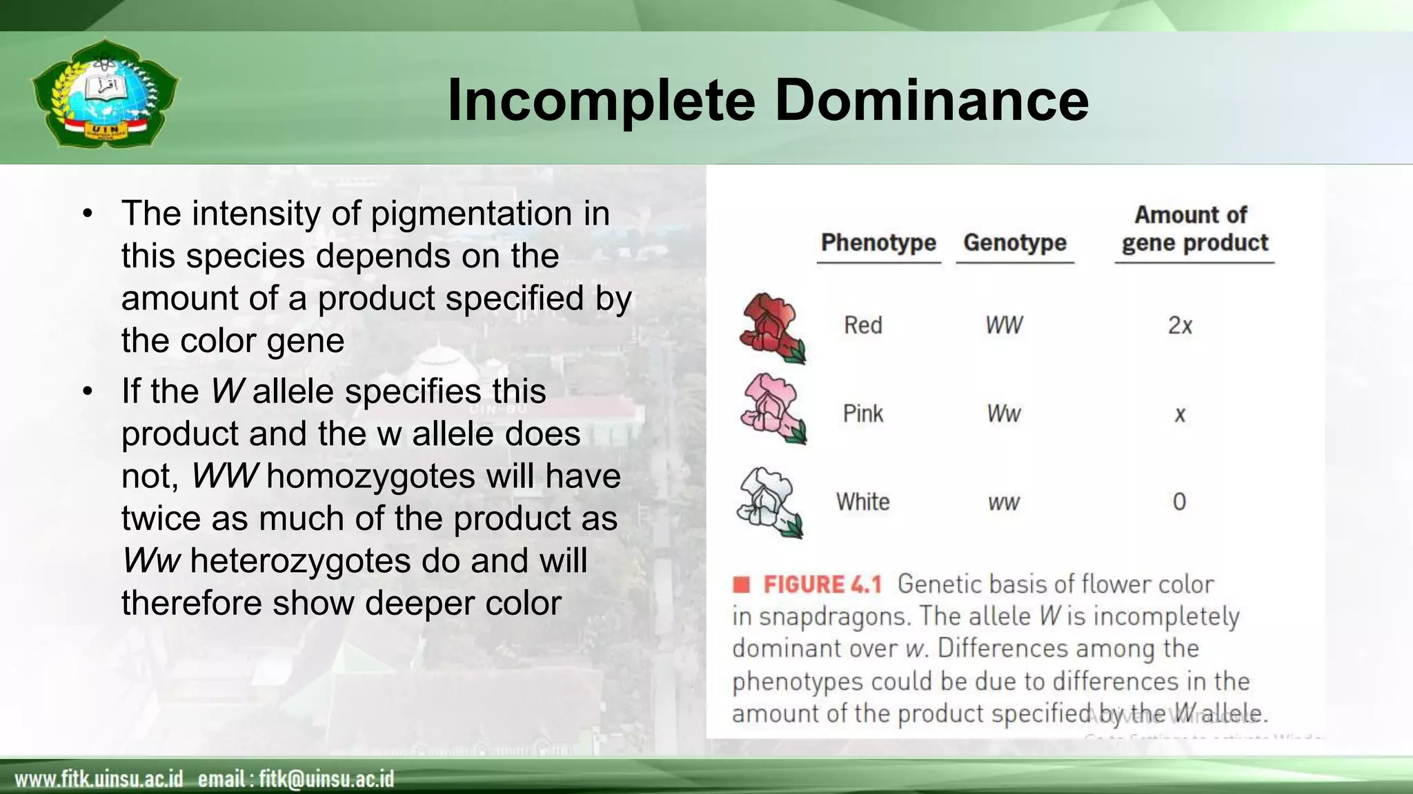 Extensions of Mendelism.ppt