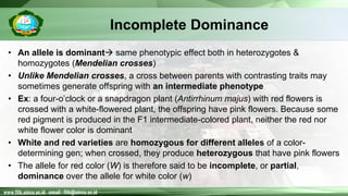 Extensions of Mendelism.ppt