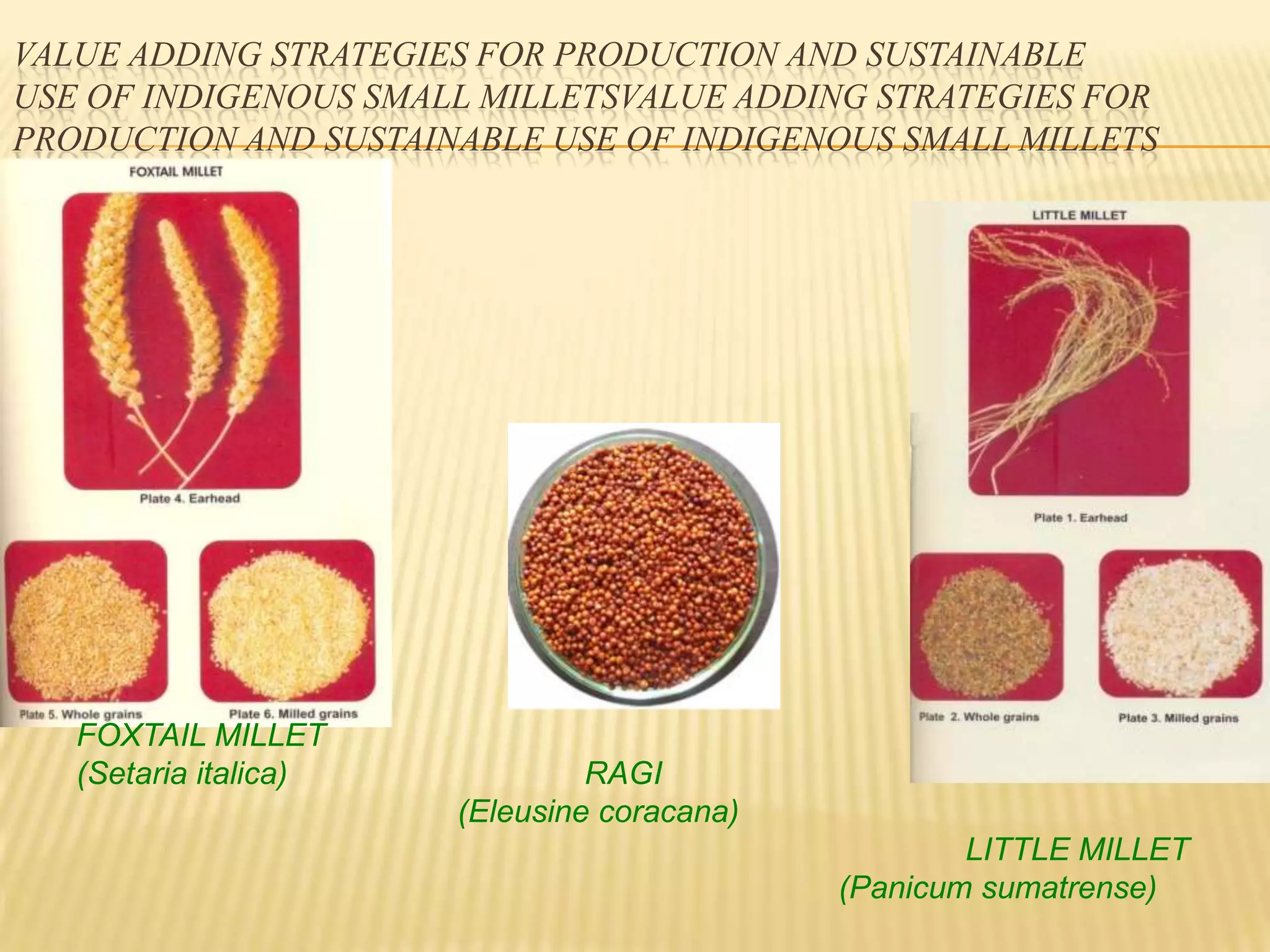 Extension strategies for popularizing millet | PPTX