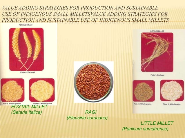 Extension strategies for popularizing millet | PPTX