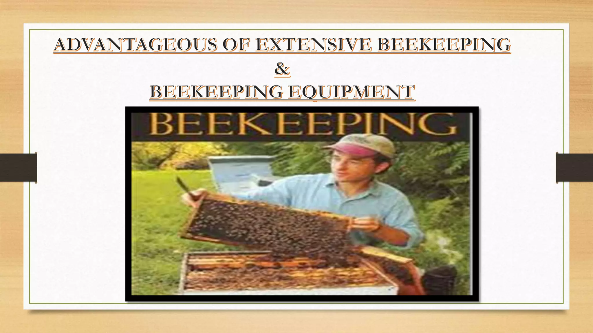 Extensive bee keeping and beekeeping equipment.. | PPTX