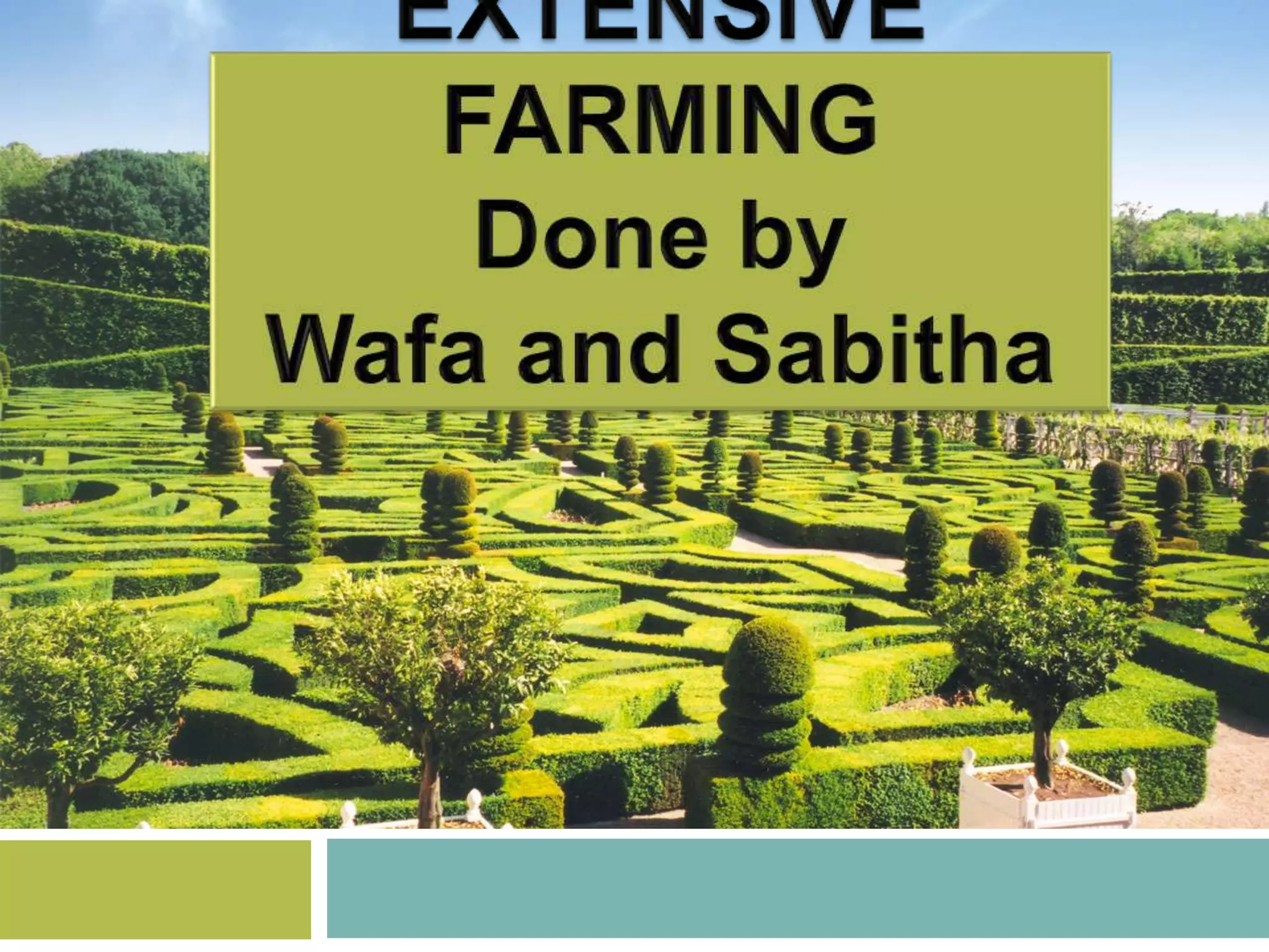 Extensive farming | PPTX | Agriculture | Industries