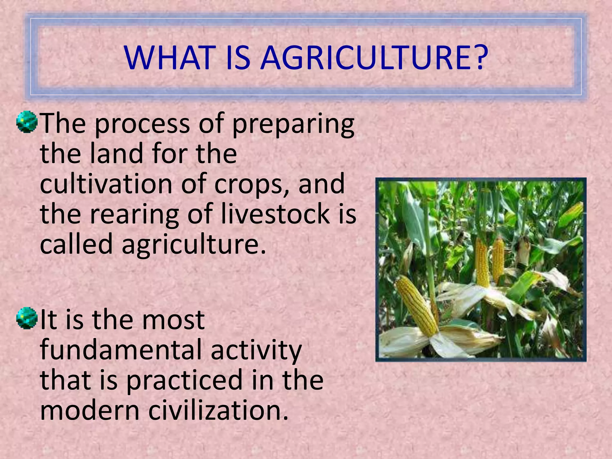 Agriculture--Extensive farming | PPT