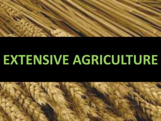 Agriculture--Extensive farming | PPT