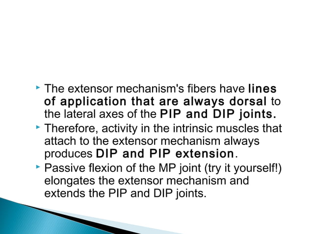 Extensor apparatus hand | PPT
