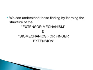 Extensor apparatus hand | PPT