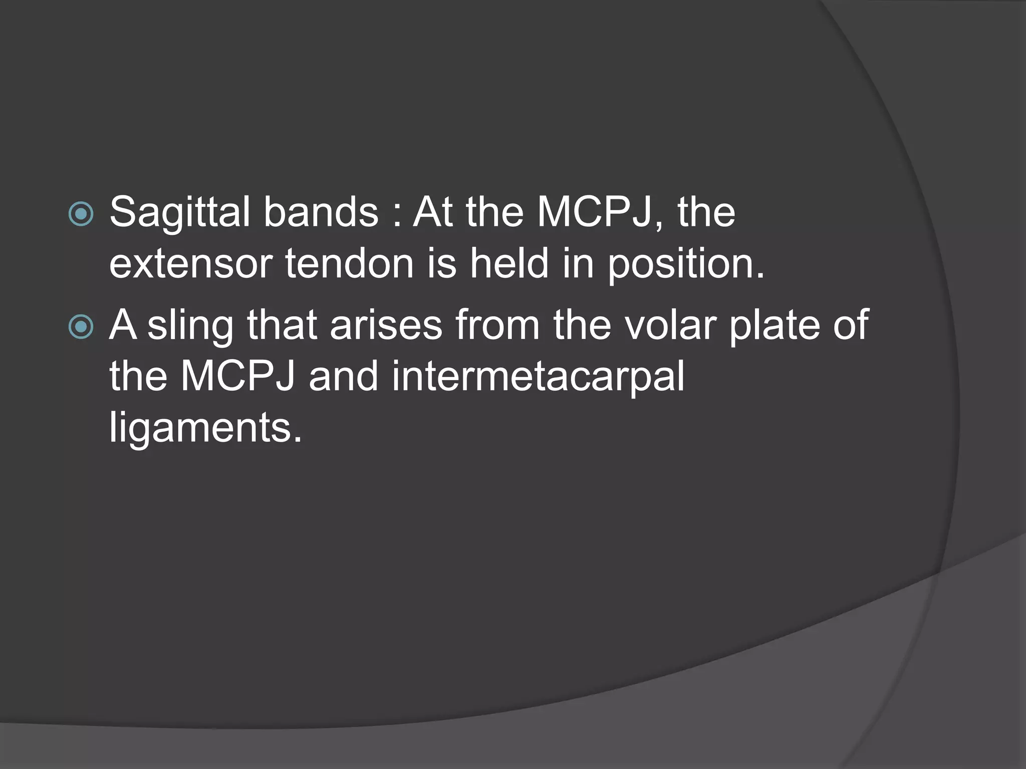 Extensor apparatus of hand injuries | PPTX