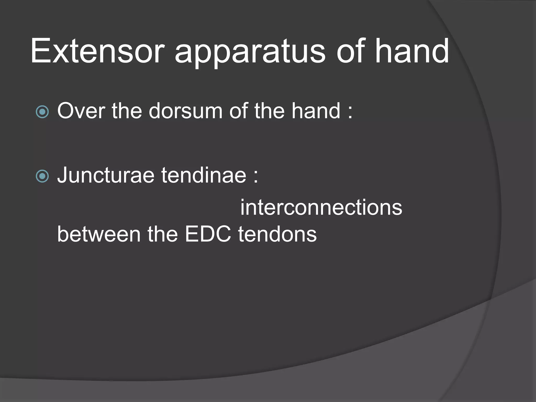Extensor apparatus of hand injuries | PPTX | Death, Injury, or Military ...