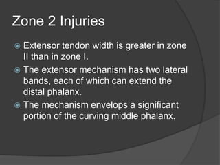 Extensor apparatus of hand injuries | PPTX