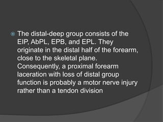 Extensor apparatus of hand injuries | PPTX