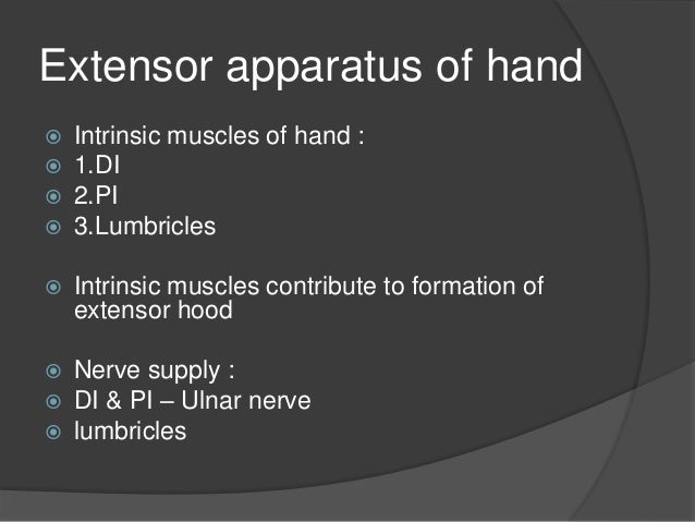 Extensor apparatus of hand injuries