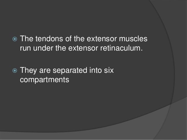 Extensor apparatus of hand injuries