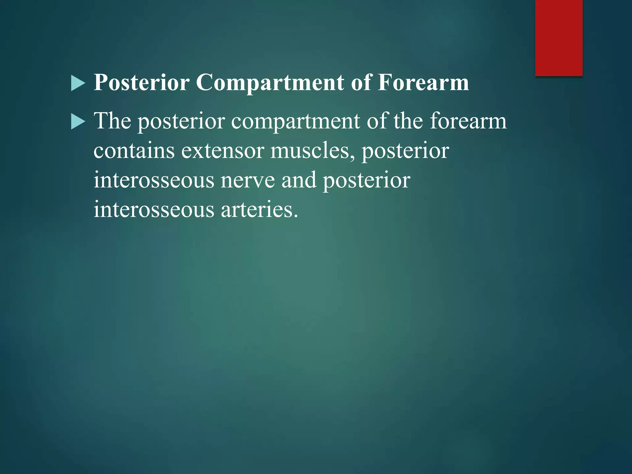 Extensor compartment of forearm (1).ppt
