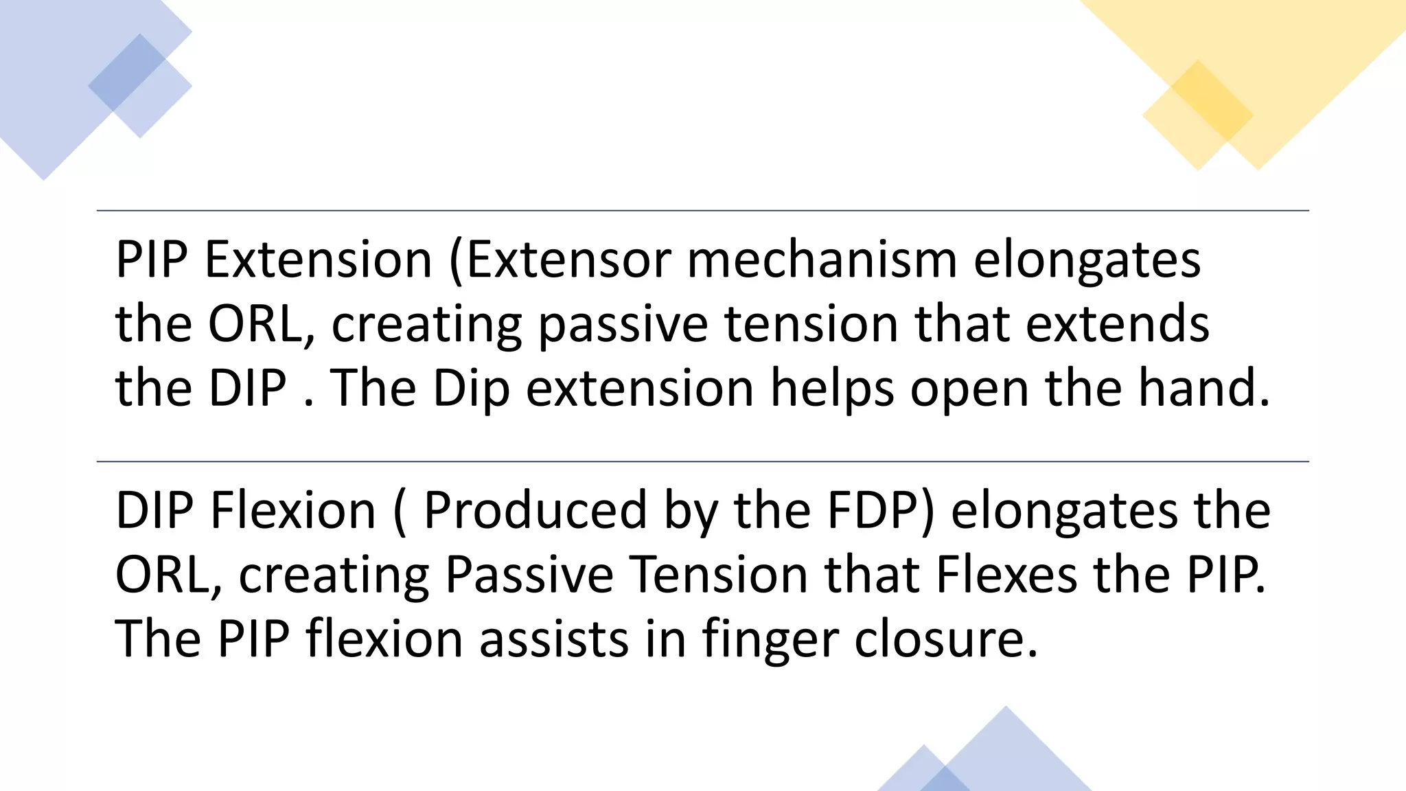 EXTENSOR EXPANSION PPT BY DR. SHUBHANSHU GAURAV.pptx