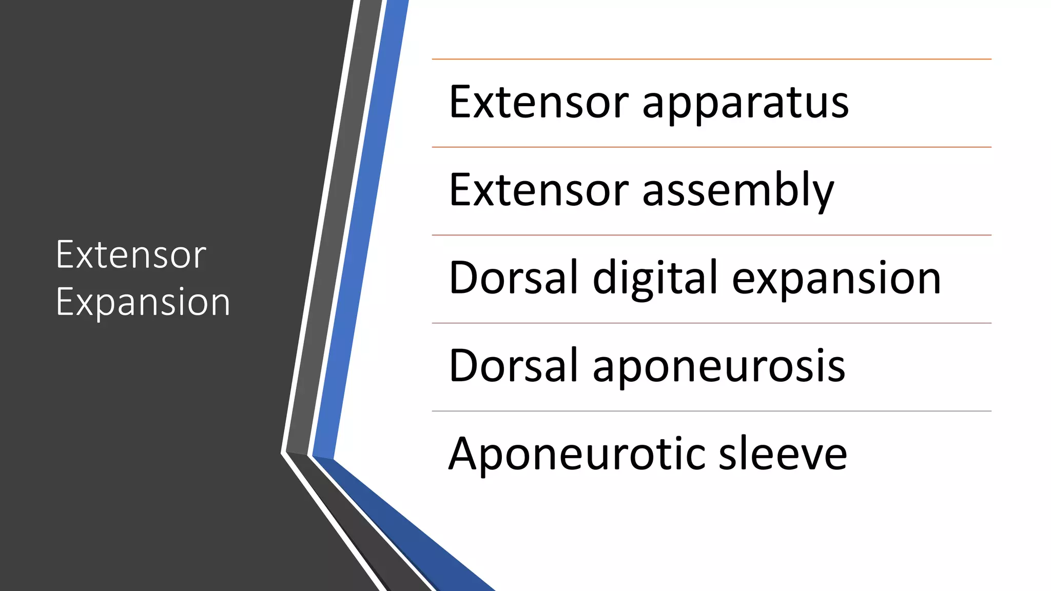 EXTENSOR EXPANSION PPT BY DR. SHUBHANSHU GAURAV.pptx