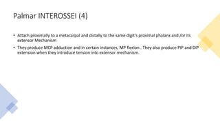 EXTENSOR EXPANSION PPT BY DR. SHUBHANSHU GAURAV.pptx