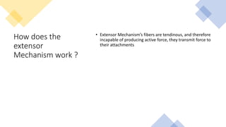 EXTENSOR EXPANSION PPT BY DR. SHUBHANSHU GAURAV.pptx