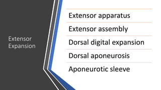 EXTENSOR EXPANSION PPT BY DR. SHUBHANSHU GAURAV.pptx
