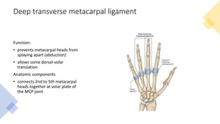 EXTENSOR EXPANSION PPT BY DR. SHUBHANSHU GAURAV.pptx