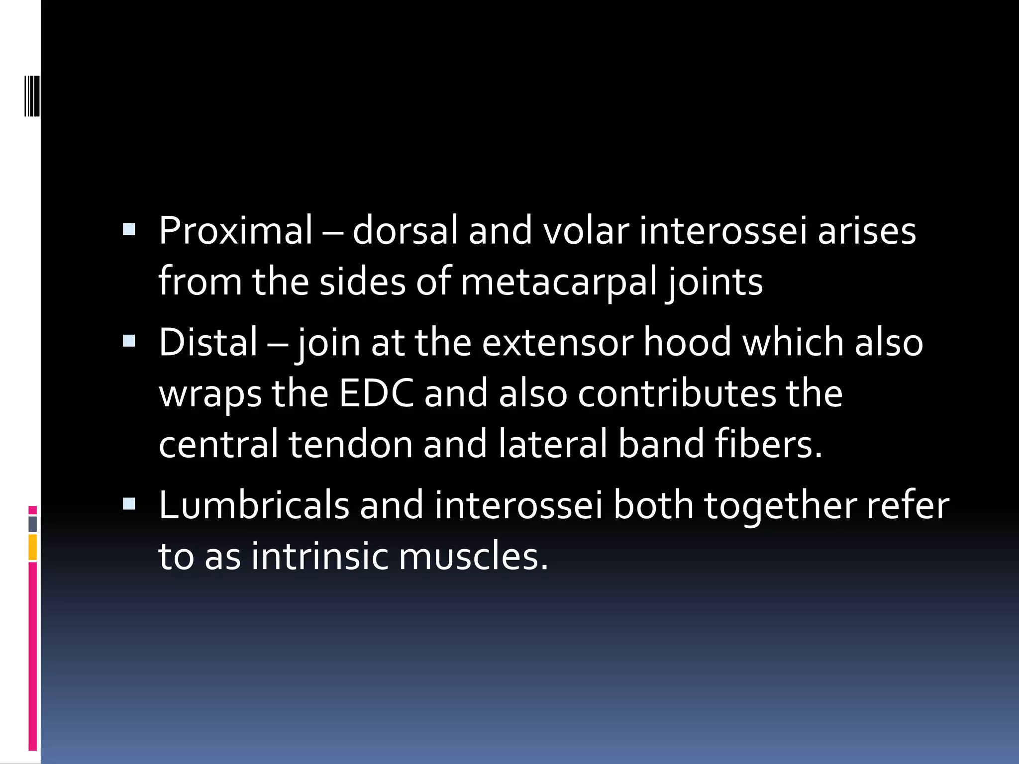 Extensor mechanism of finger | PPTX