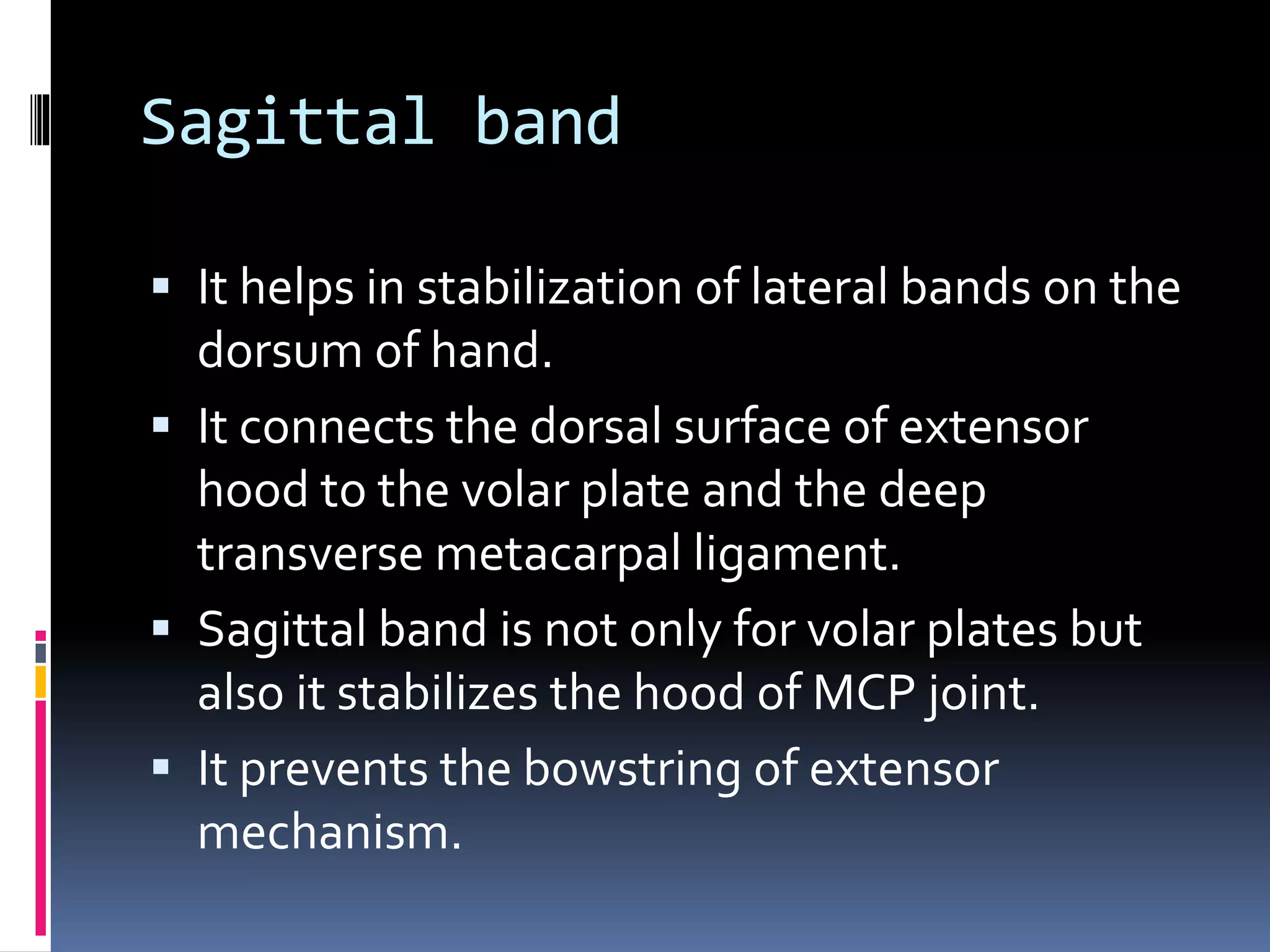 Extensor mechanism of finger | PPTX